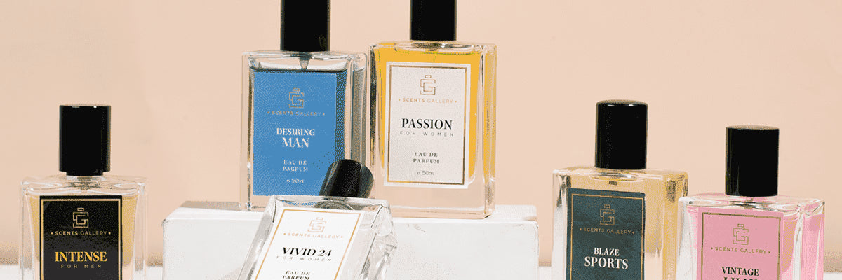 Perfumes for Men and Women | The Perfume Shop – Scents Gallery
